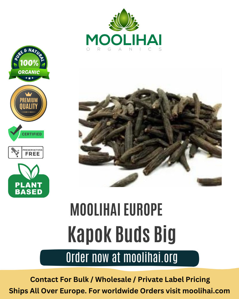Kapok Buds Big / Ceiba Pentandra / Marathi moggu - Naturoherbs