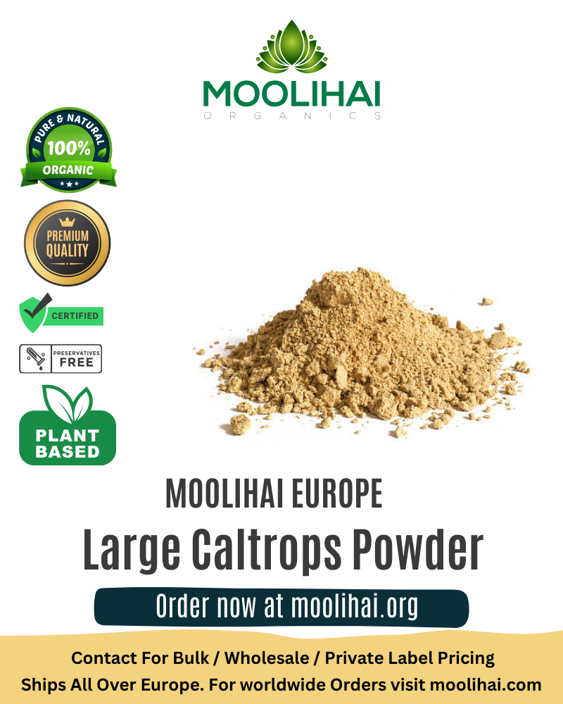 Buy Yanai Nerunjil | Large Caltrops Powder Online - Naturoherbs.com