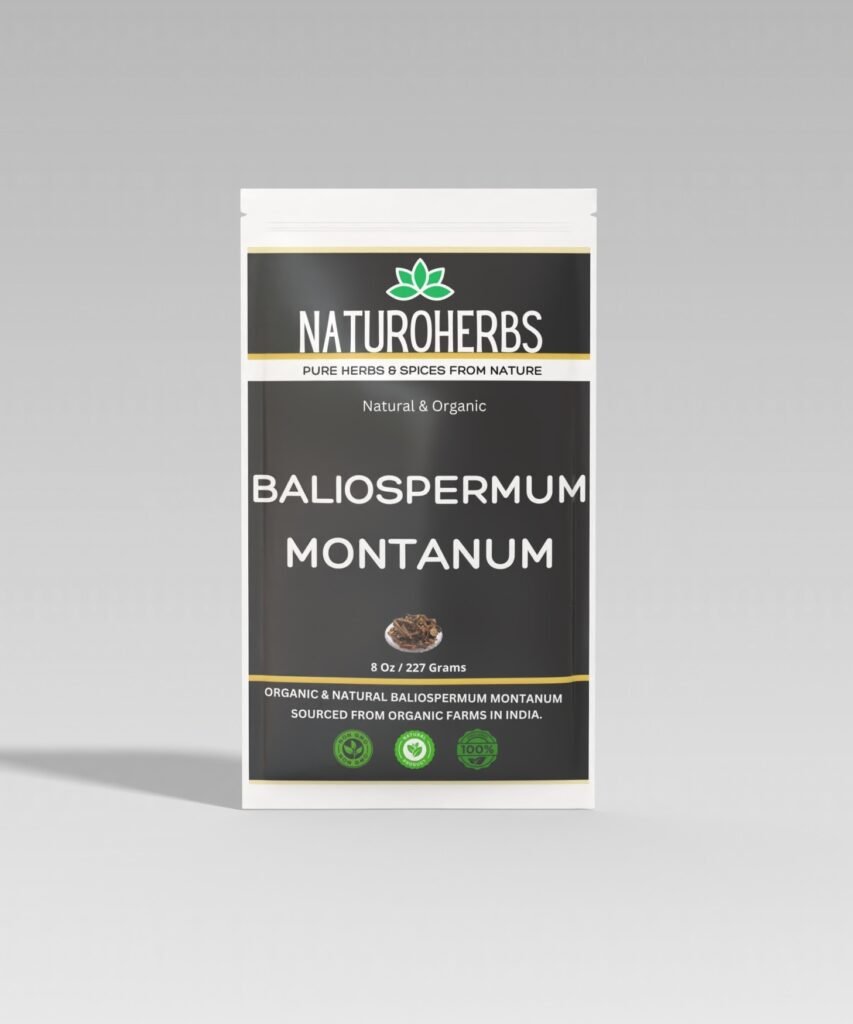 Baliospermum montanum | Danti | Red Physic Nut | Wild castor ...